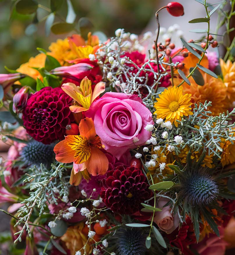 Most Popular – SNOWBLOOM